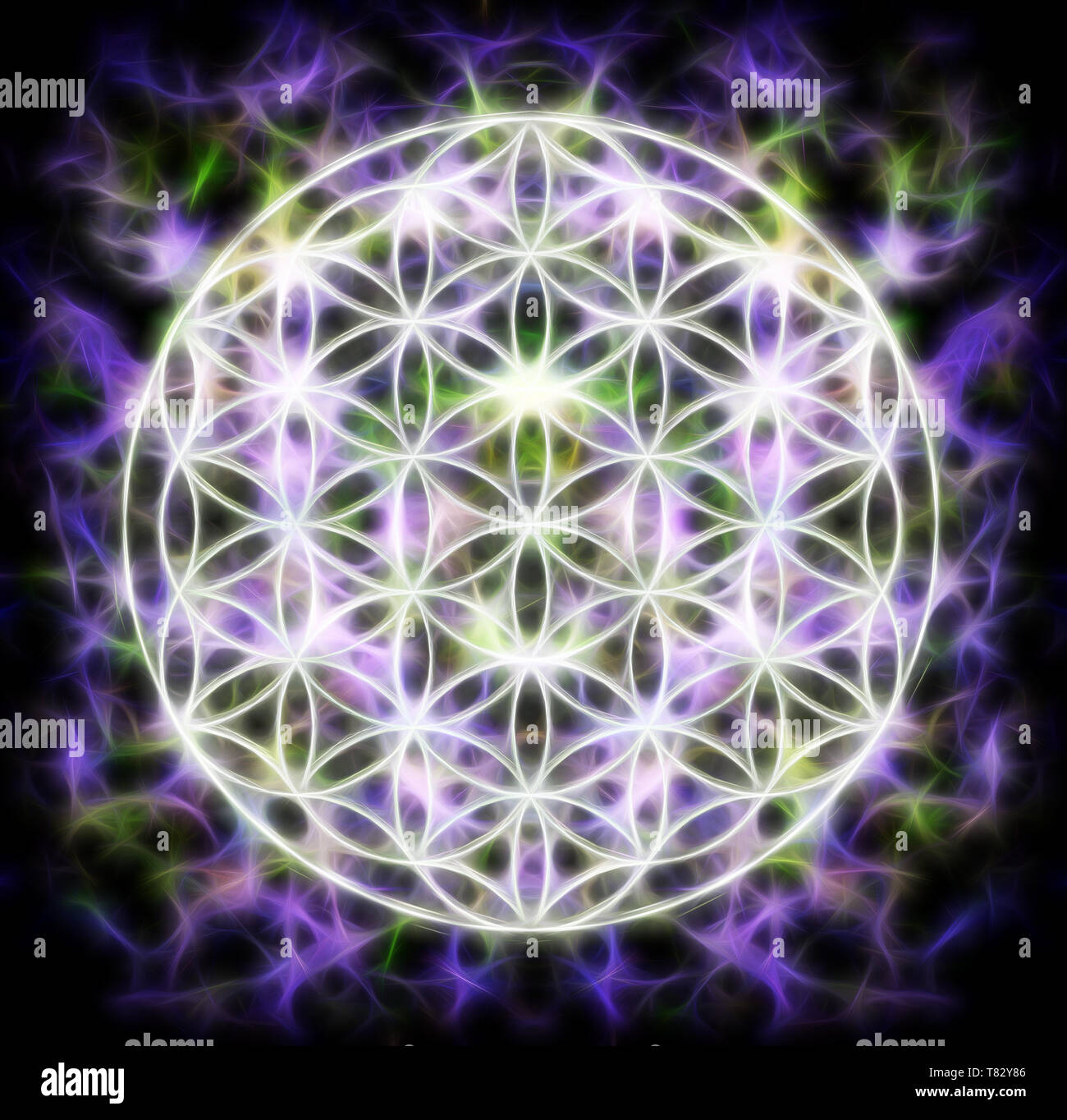 Flower of life and fractal effect. Sacred geometry Stock Photo - Alamy