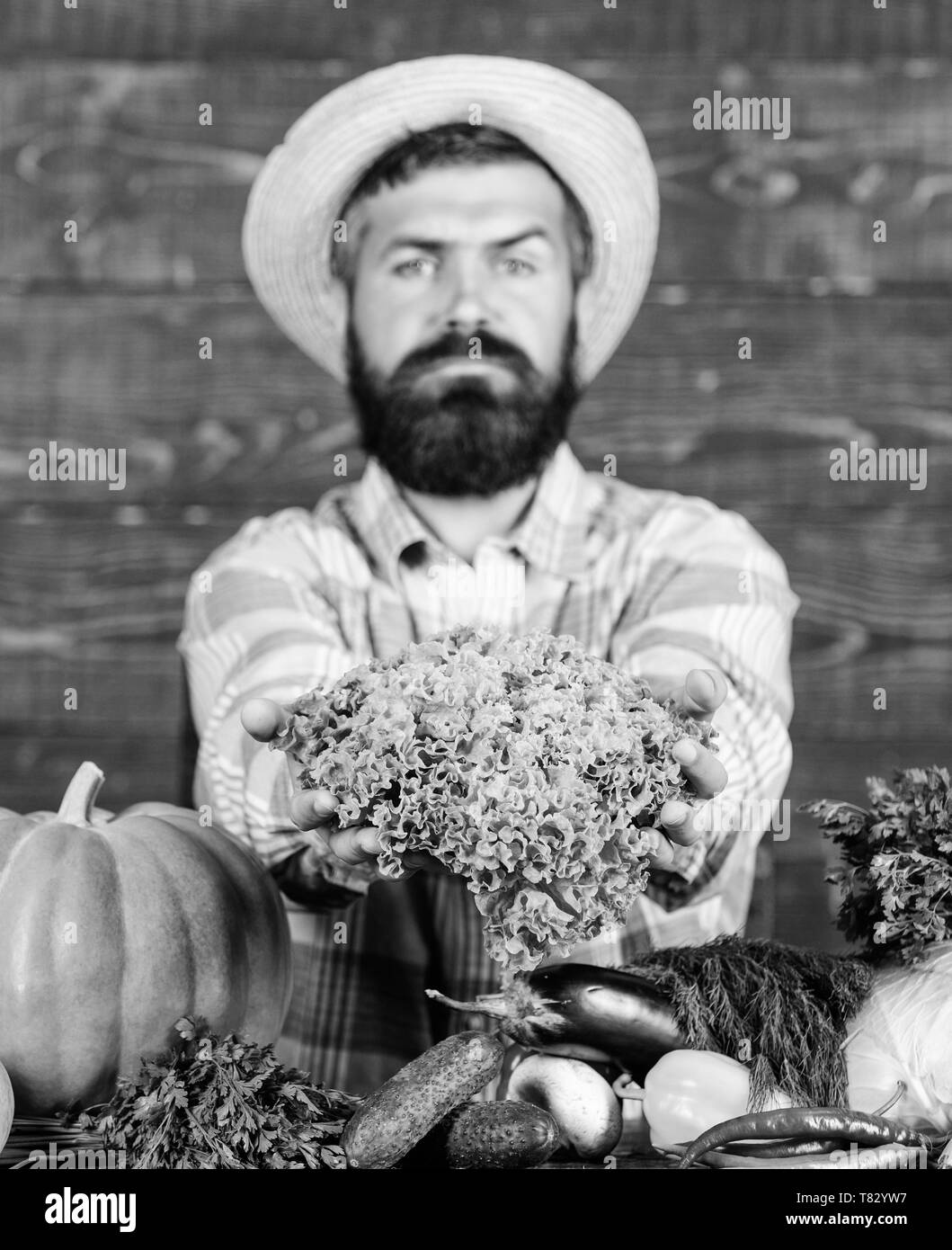 Homegrown market Black and White Stock Photos & Images - Alamy
