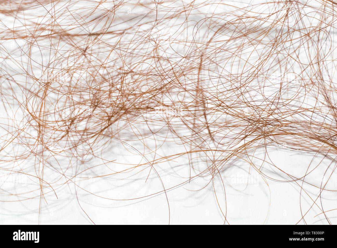 Strands of hair entangled together on a white background Stock Photo ...
