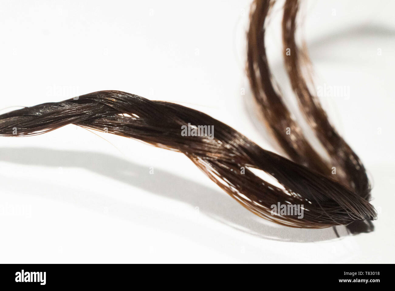 Small piece of hair braided isolated on a white background Stock Photo ...