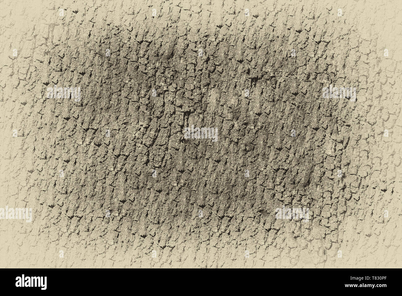 A surface with the structure of hardwood bark Stock Photo - Alamy