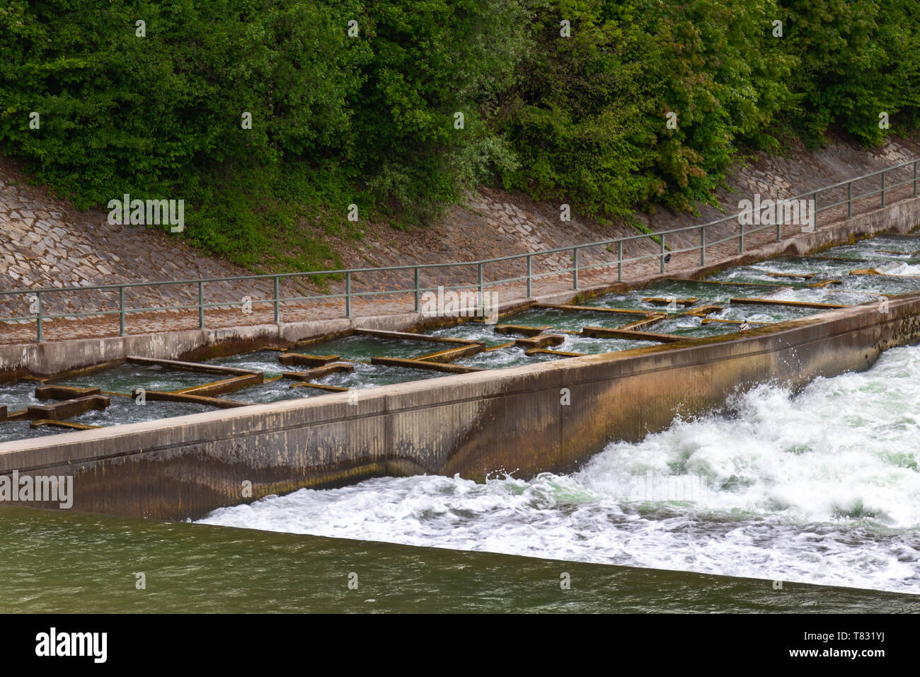 Fish pass hi-res stock photography and images - Alamy