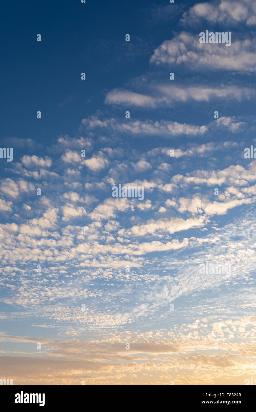 Cirrocumulus clouds sunset sky cloudscape background pattern Stock ...