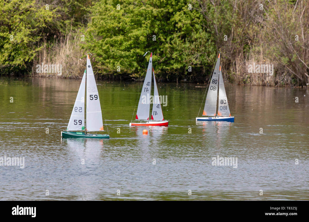 Little model yachts on a lake Stock Photo - Alamy