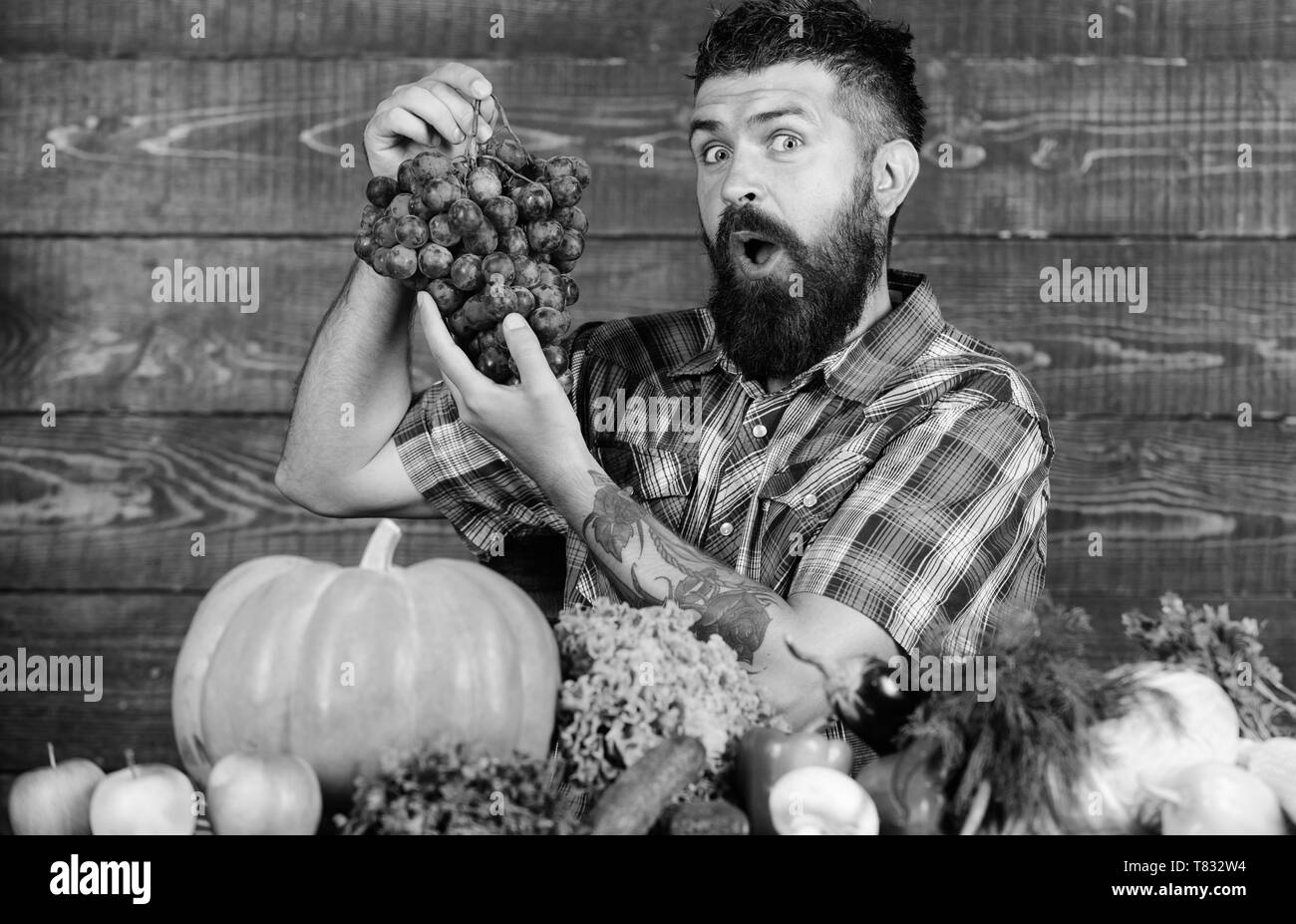 Garden vegetables growing Black and White Stock Photos & Images - Alamy