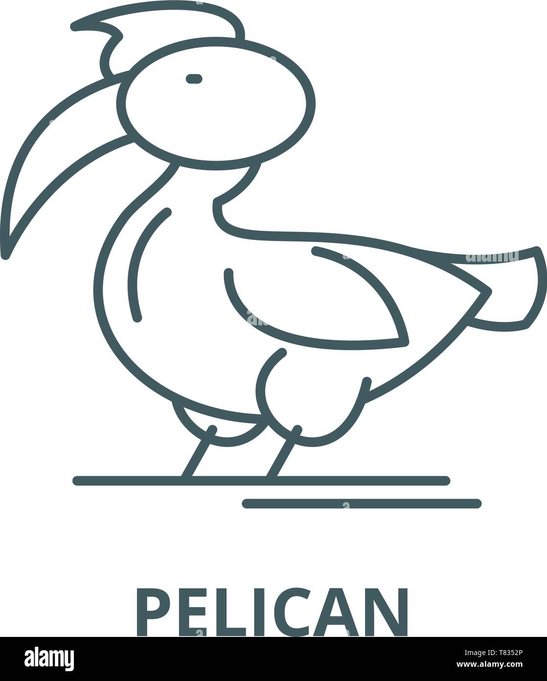 Pelican vector line icon, linear concept, outline sign, symbol Stock Vector Image & Art - Alamy