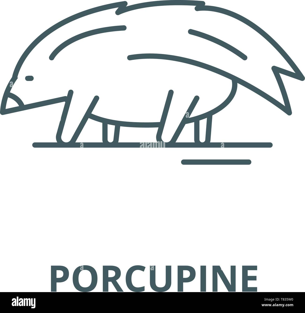 Porcupine vector line icon, linear concept, outline sign, symbol Stock ...