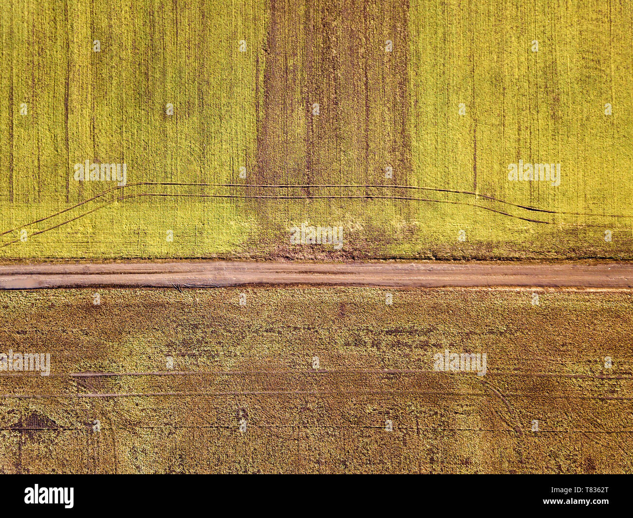 Agricultural landscape from air. Straight narrow ground road between ...