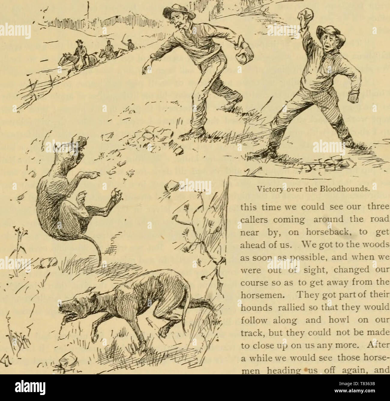 "Daring and suffering: a history of the Andrews Railroad Raid into ...