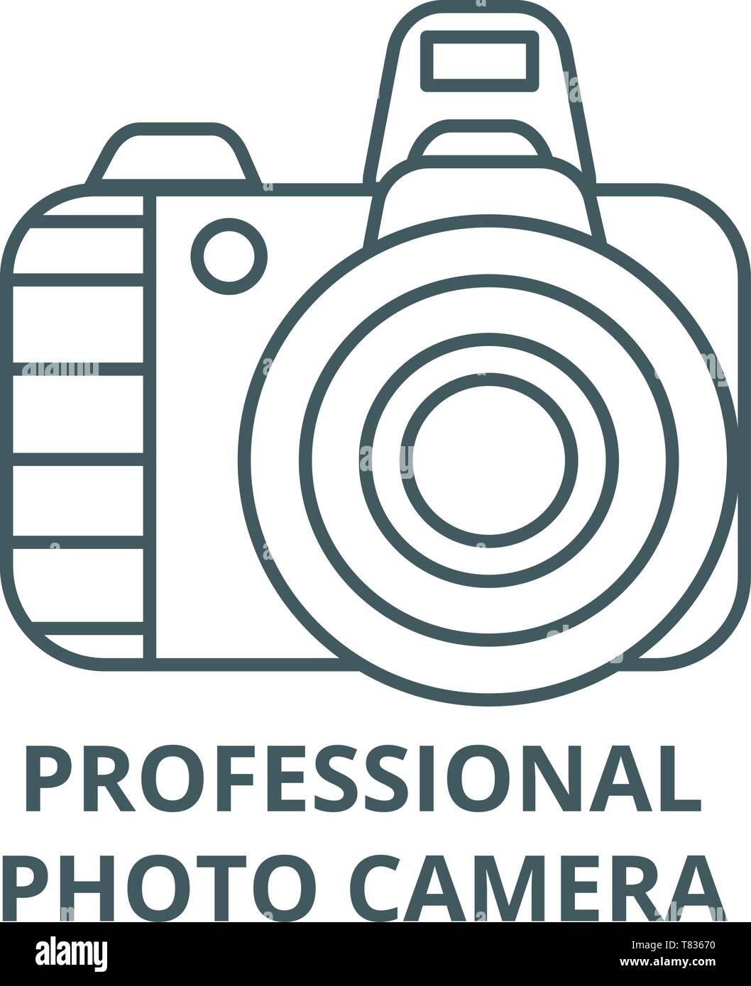Professional photo camera vector line icon, linear concept, outline ...