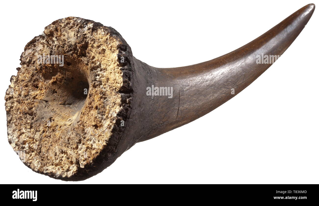 Black or red horn hi-res stock photography and images - Alamy