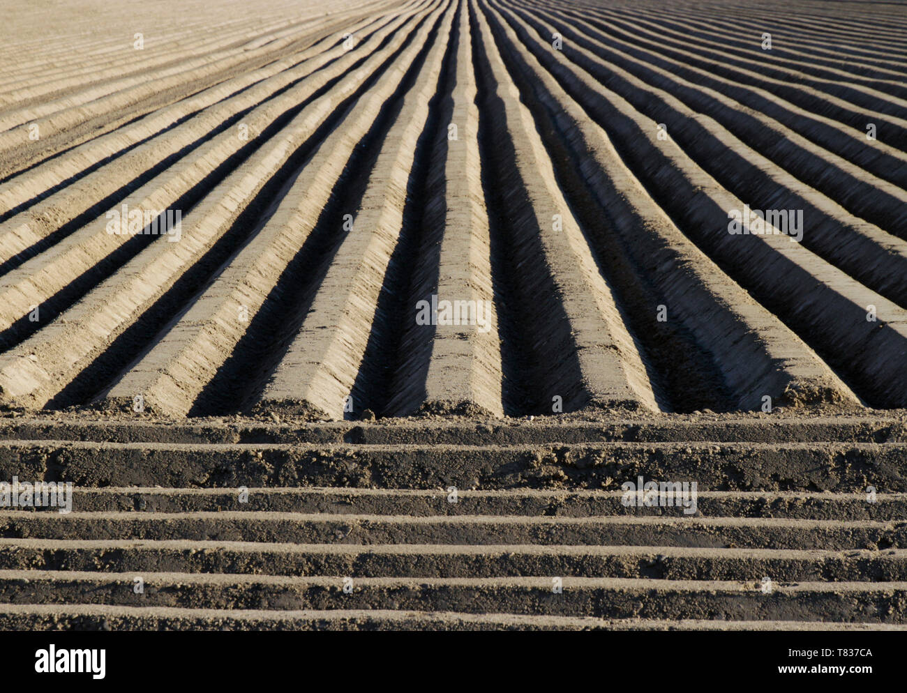 Agricultural symmetry hi-res stock photography and images - Alamy