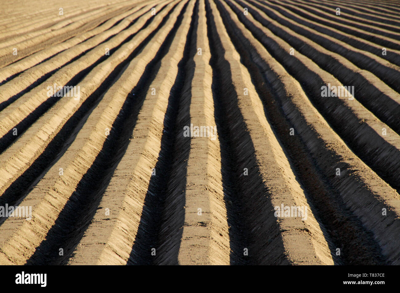 Agricultural symmetry hi-res stock photography and images - Alamy