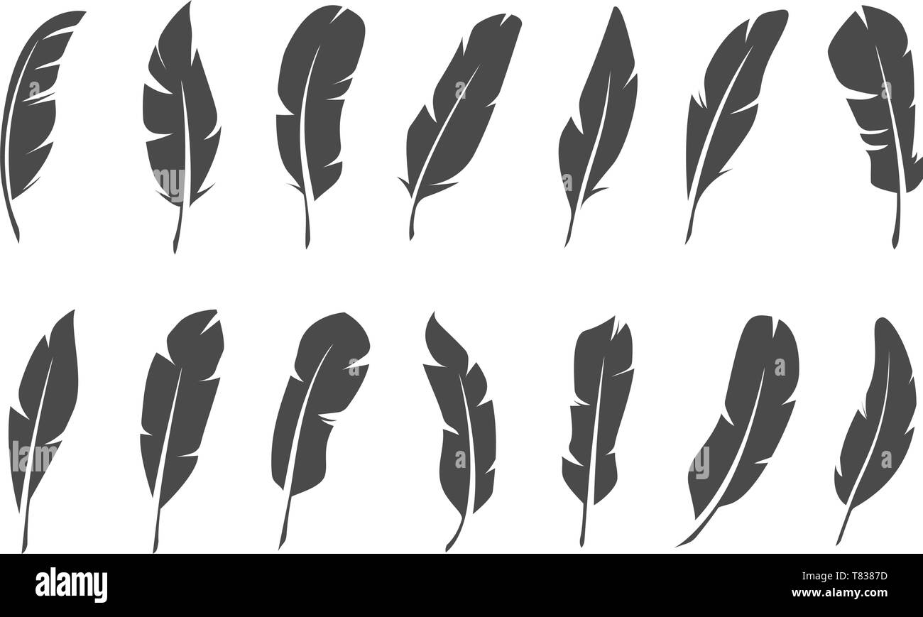 Set of black feather symbols on white background Stock Vector Image ...