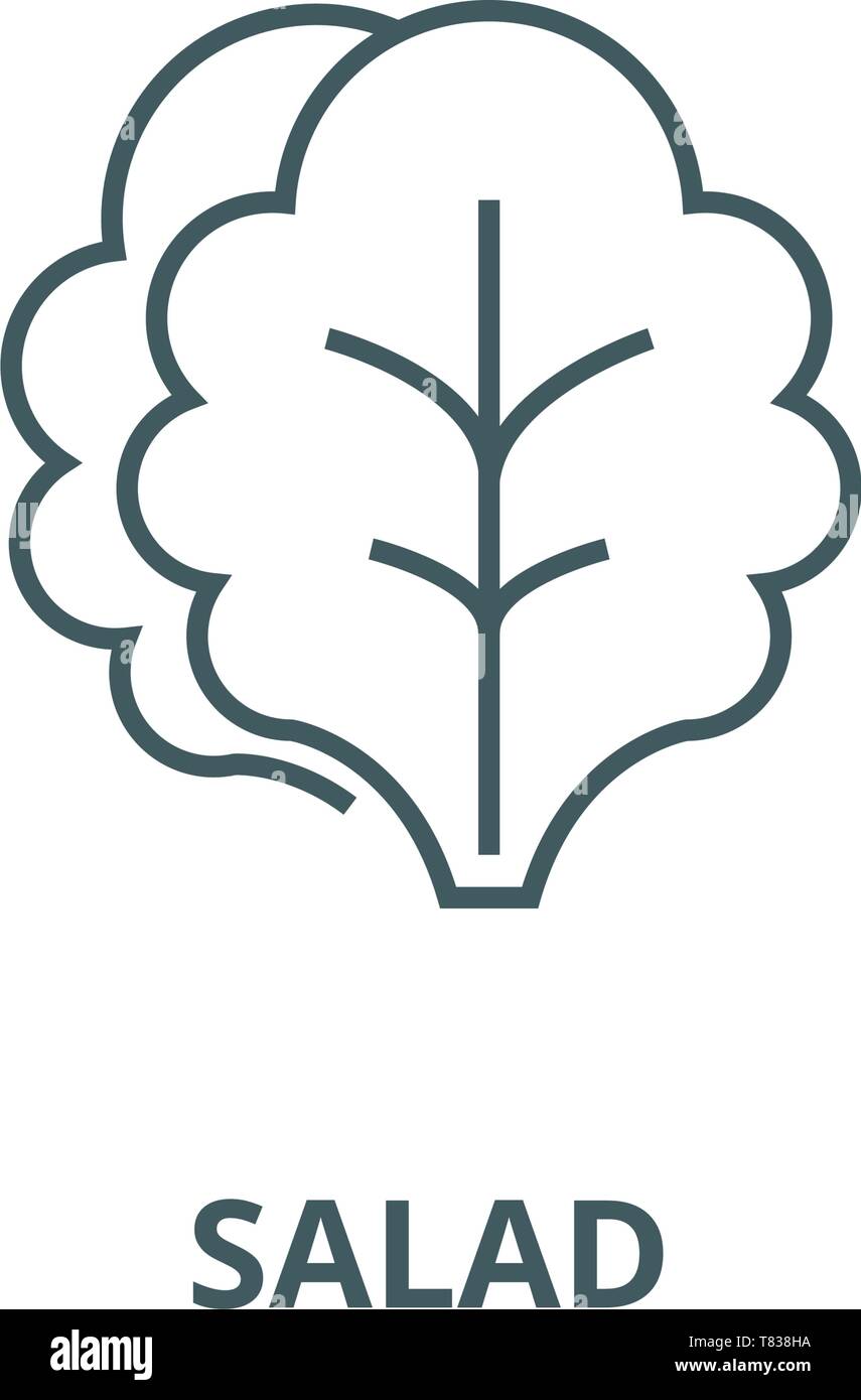 Salad vector line icon, linear concept, outline sign, symbol Stock ...