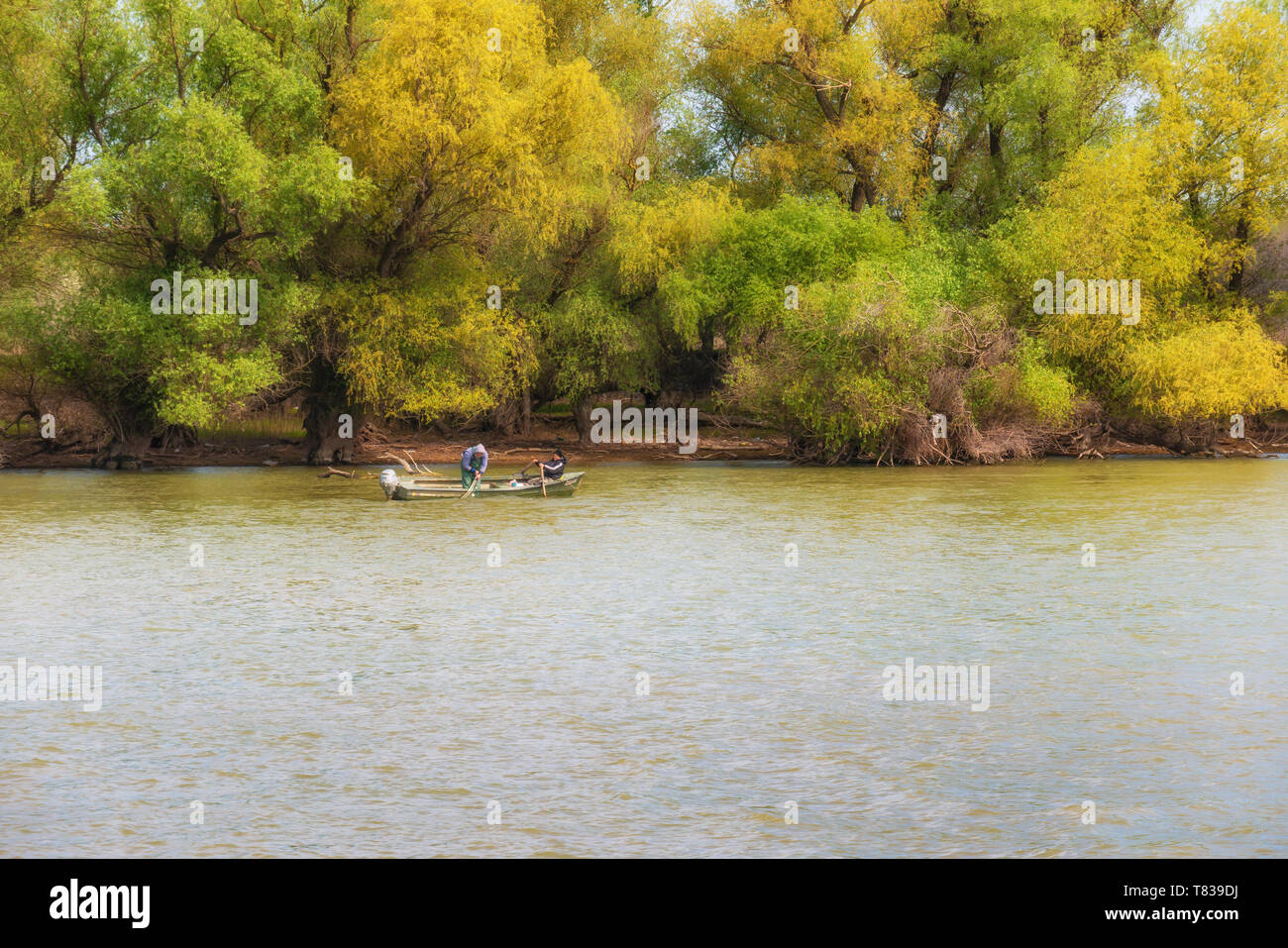 Danube biosphere reserve hi-res stock photography and images - Alamy