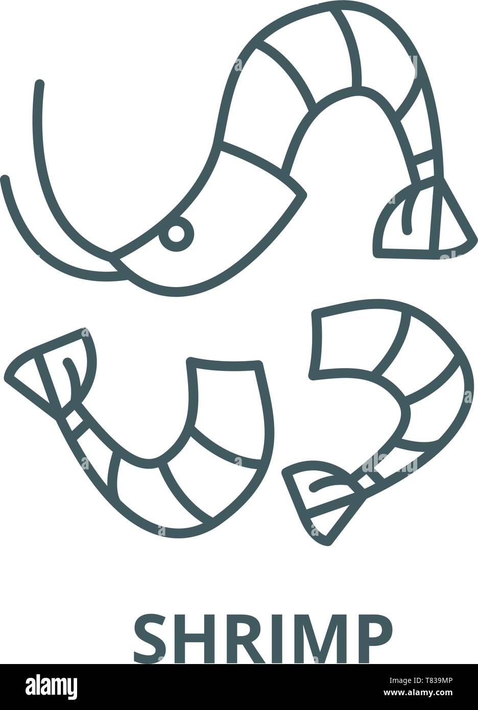 Shrimp vector line icon, linear concept, outline sign, symbol Stock ...