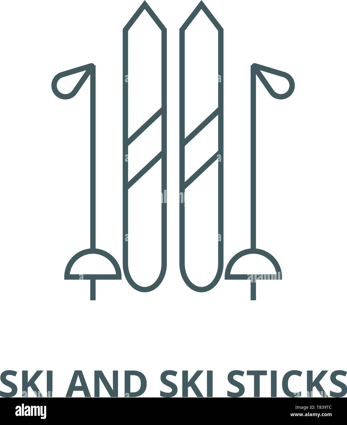 Line Ski Logo