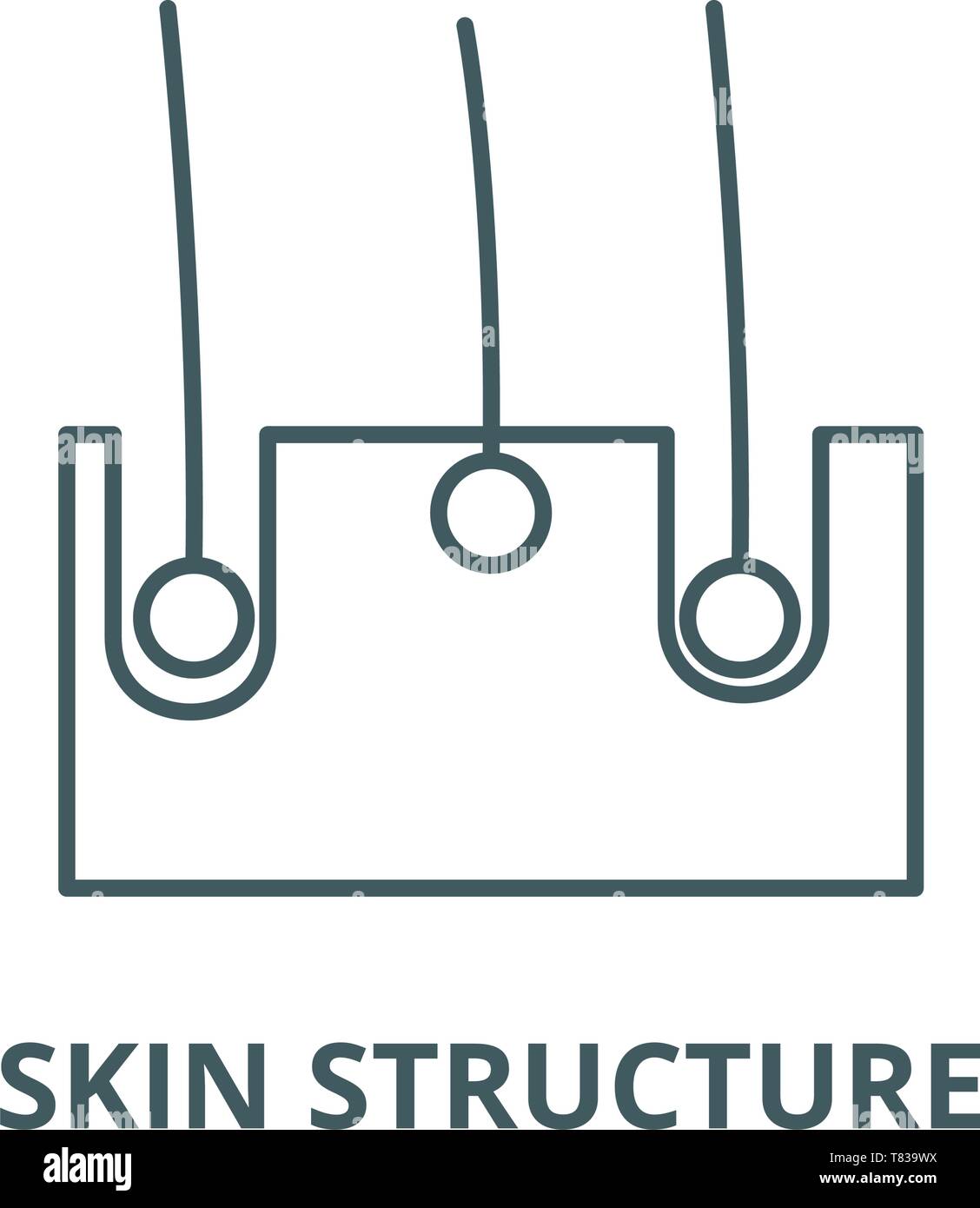Skin structure vector line icon, linear concept, outline sign, symbol ...
