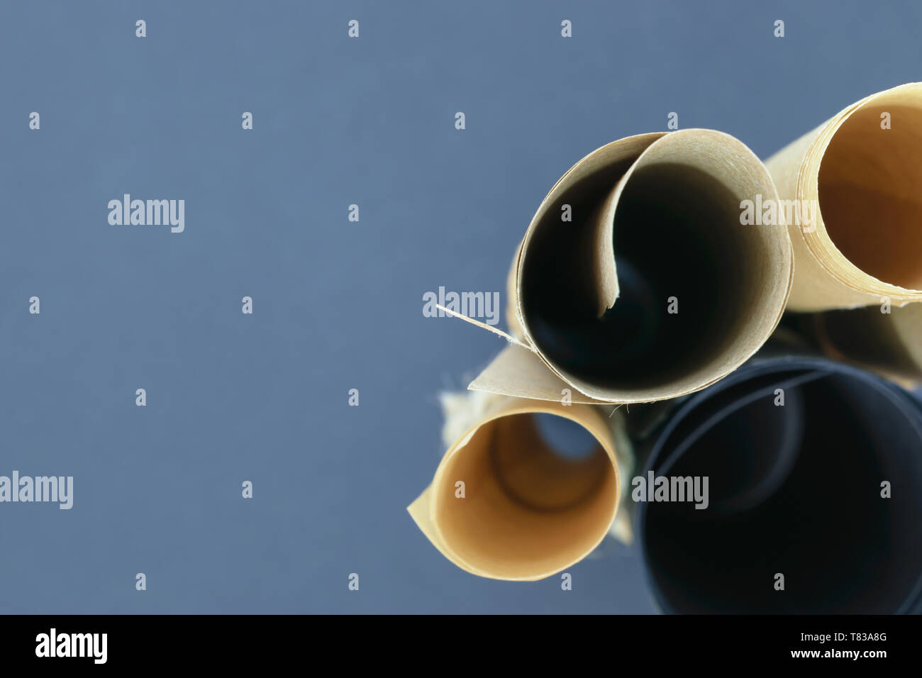 Side view of bunch of various twisted beige and black craft scroll ...