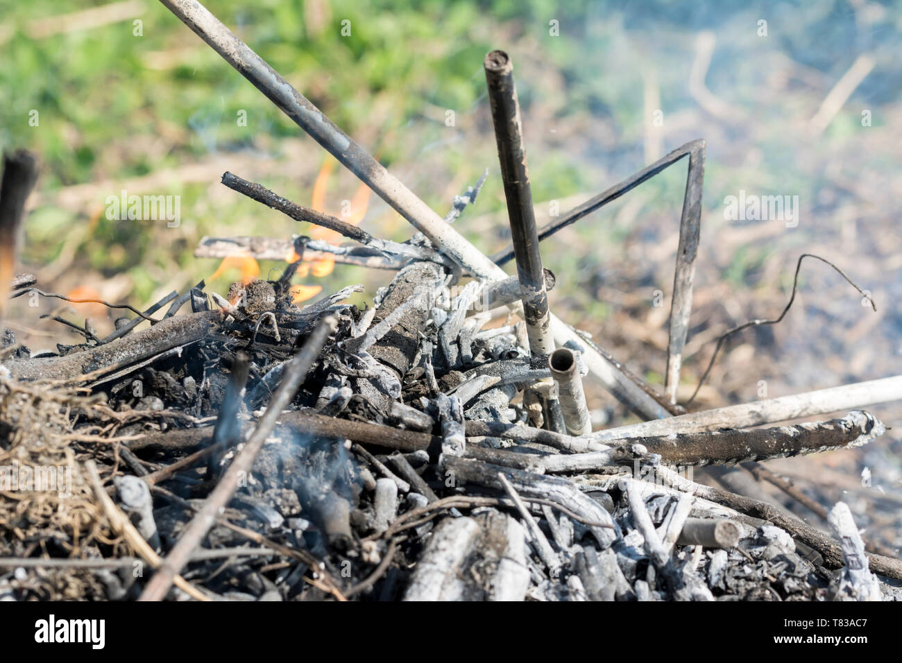 Bush on fire outdoor. Burning dry grass. Fire and smoke. background ...