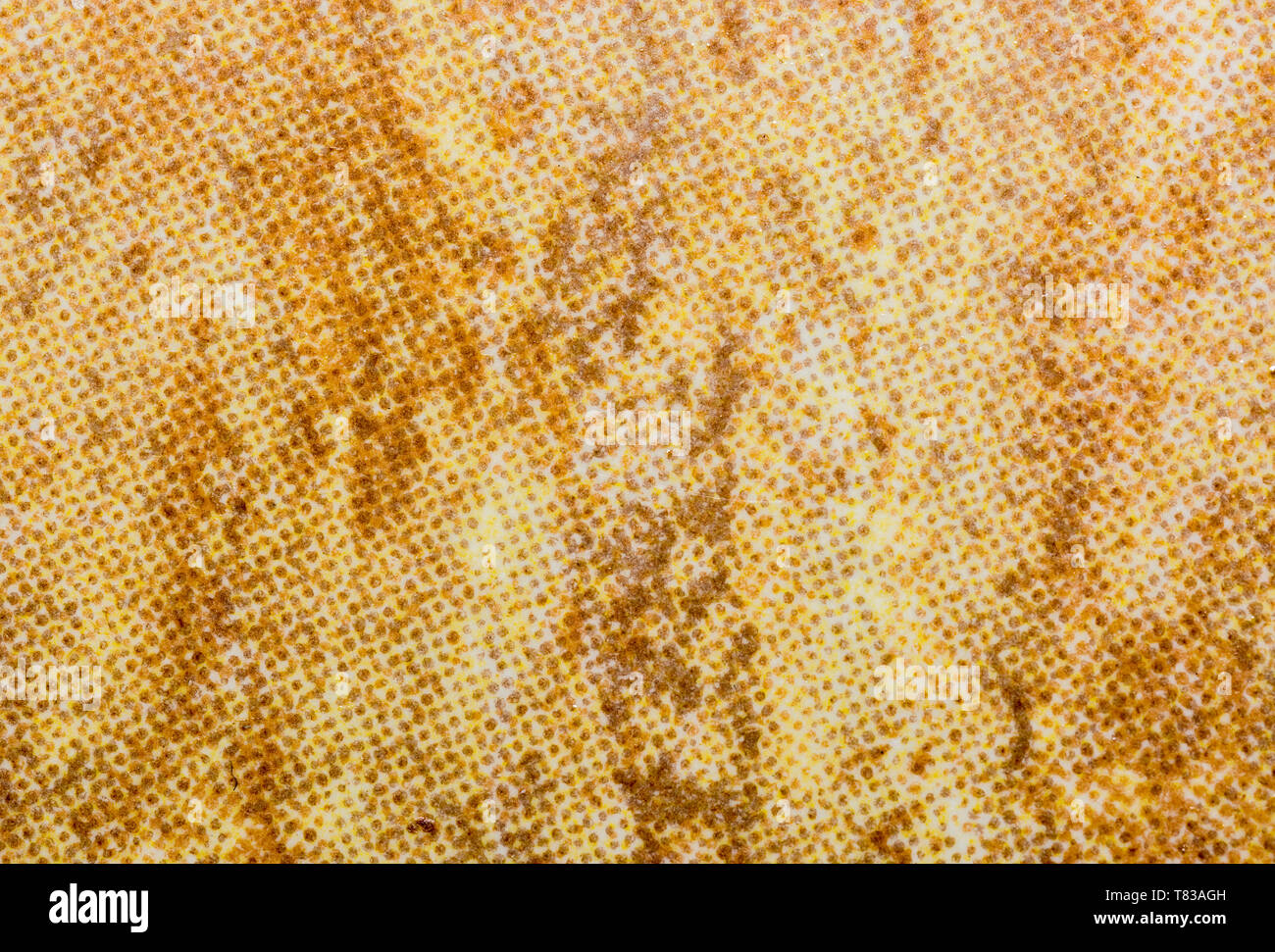 A ceramic wall, ceramic wall pattern, wall copy space Stock Photo - Alamy