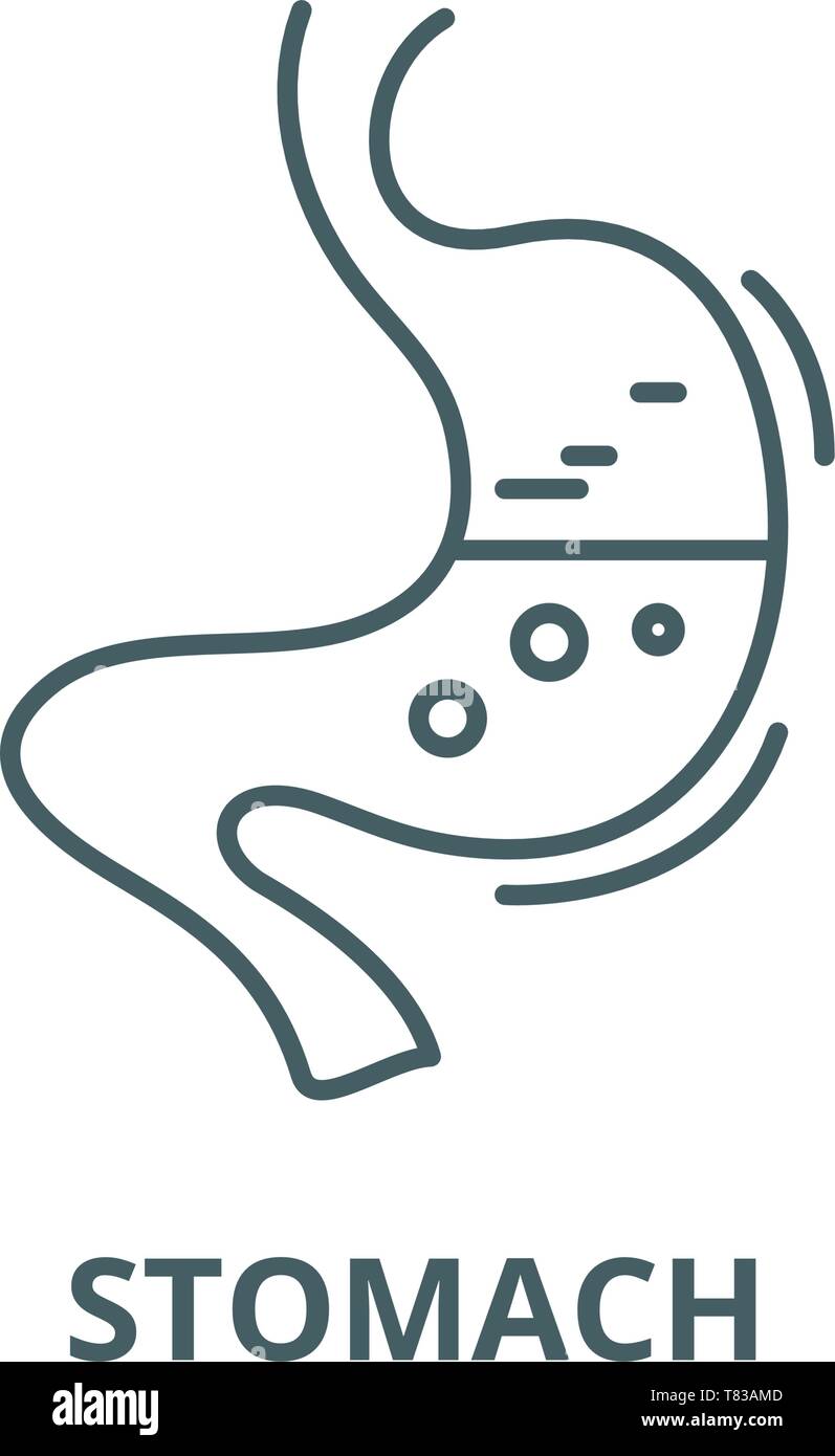 Stomach vector line icon, linear concept, outline sign, symbol Stock ...