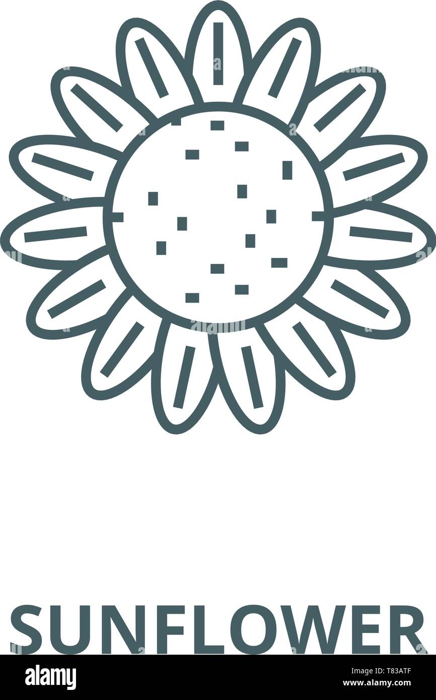Sunflower vector line icon, linear concept, outline sign, symbol Stock ...