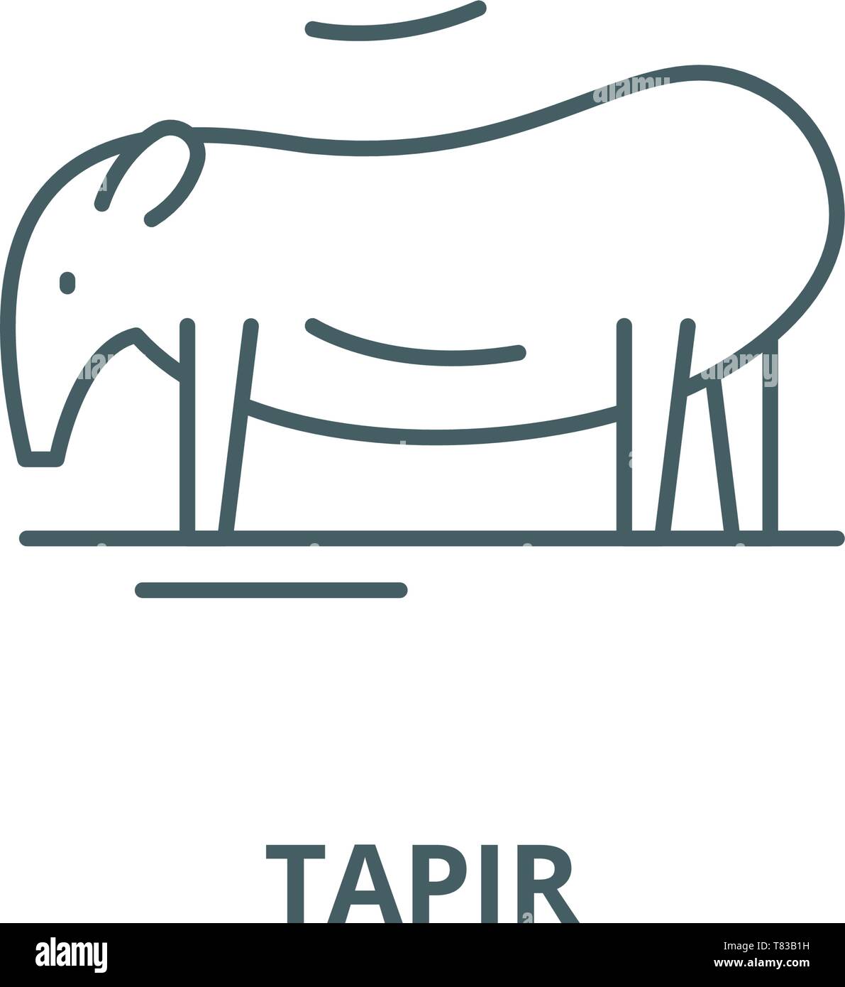Tapir vector line icon, linear concept, outline sign, symbol Stock ...
