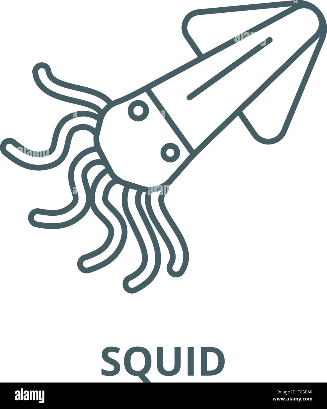 Squid,calamary vector line icon, linear concept, outline sign, symbol ...