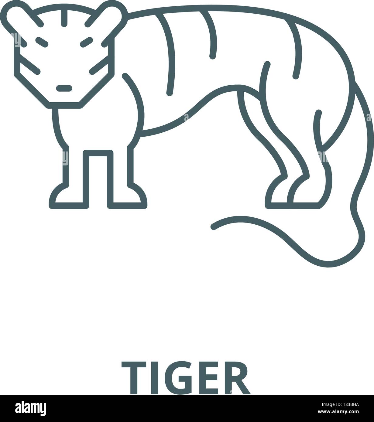 Tiger vector line icon, linear concept, outline sign, symbol Stock ...