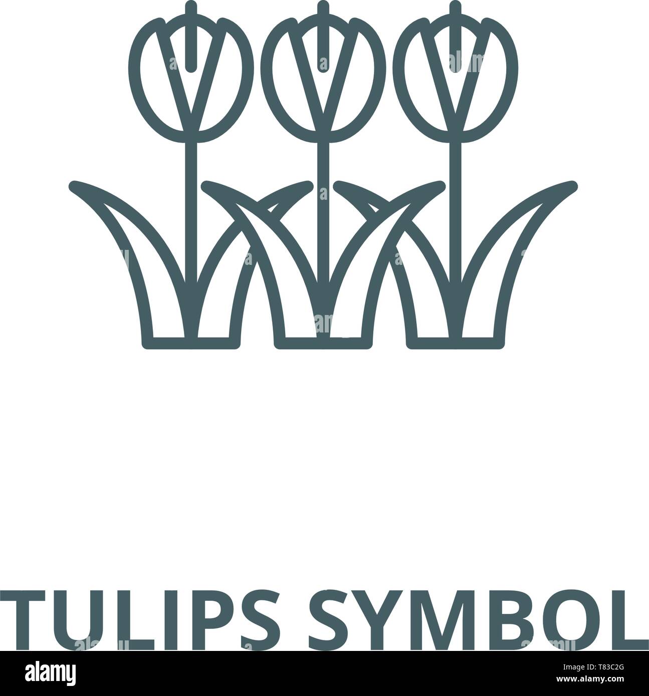 Tulips symbol vector line icon, linear concept, outline sign, symbol ...