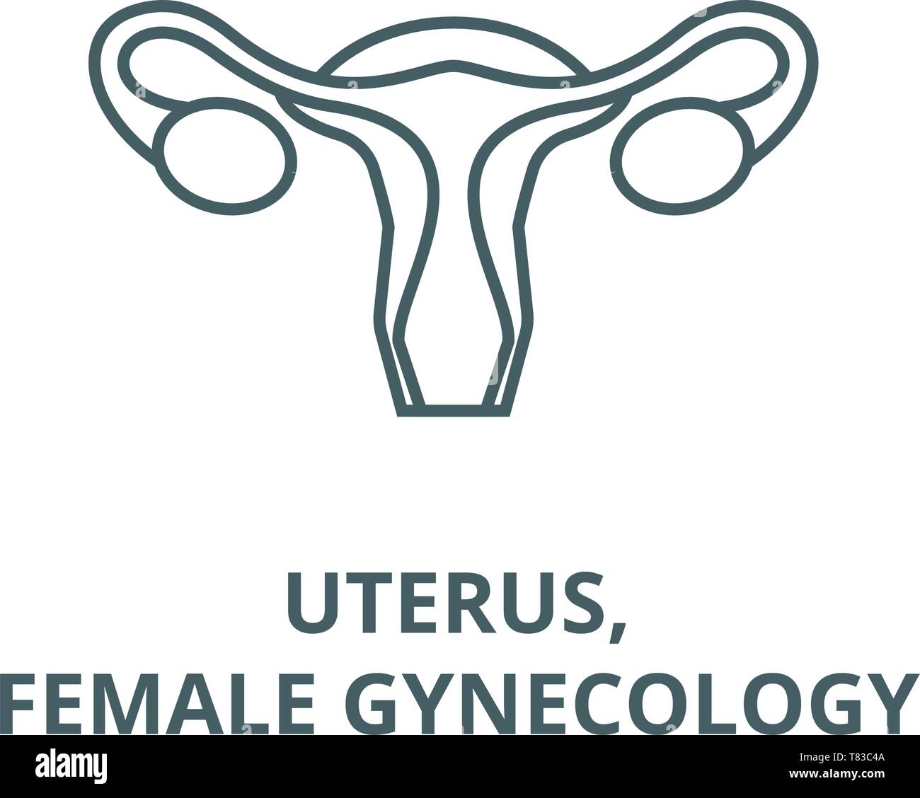 Uterus Female Gynecology Vector Line Icon Linear Concept Outline Sign Symbol Stock Vector
