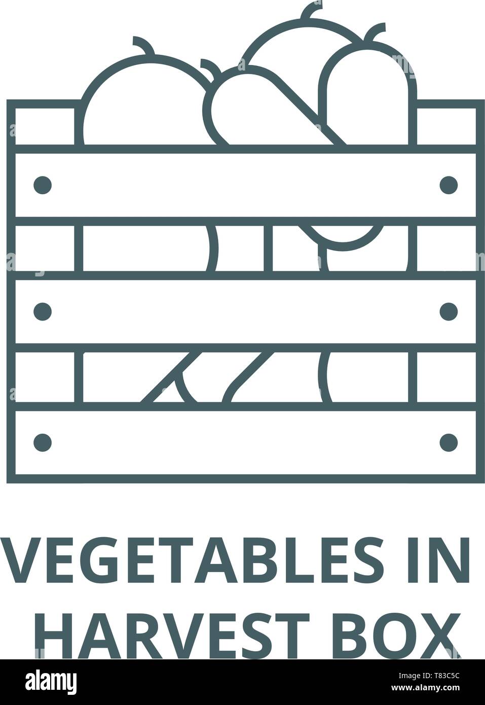 Vegetables in harvest box vector line icon, linear concept, outline ...
