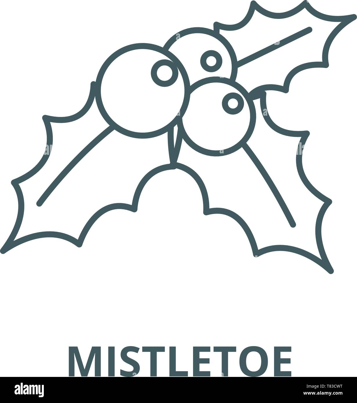 Mistletoe,ornament,christmas vector line icon, linear concept, outline ...