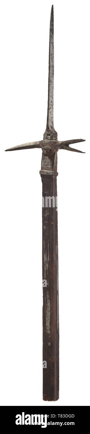 Slightly laterally hi-res stock photography and images - Alamy