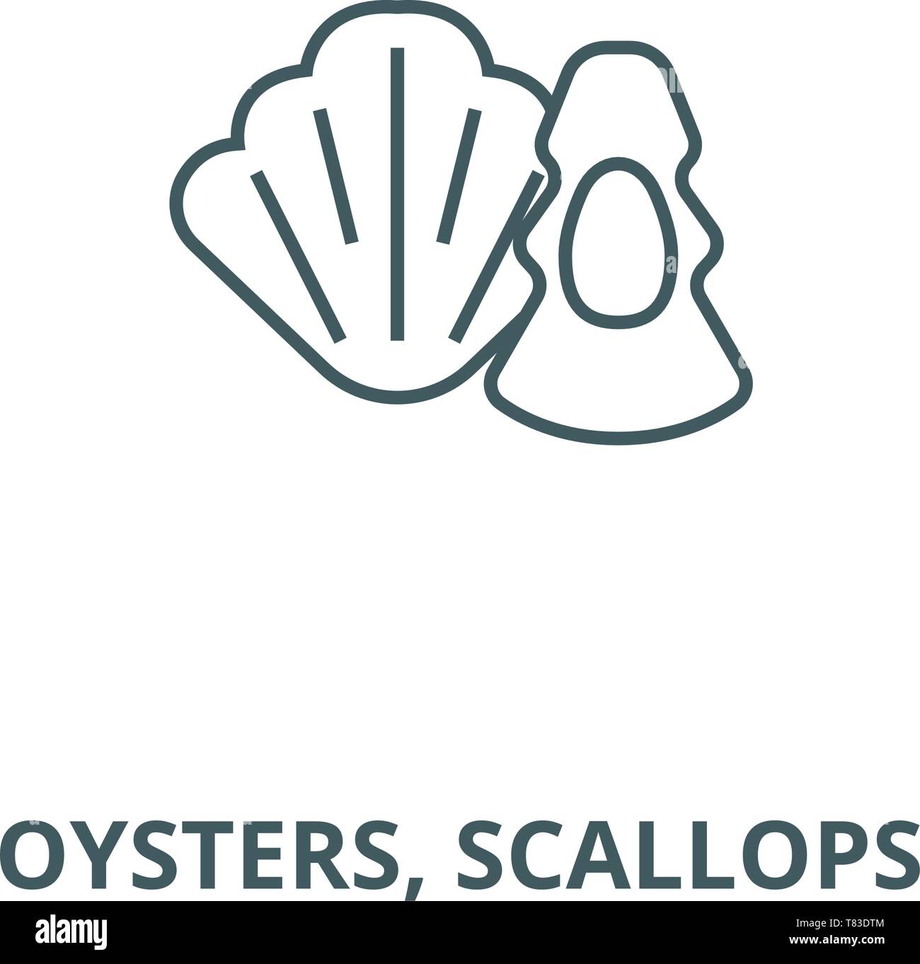Oysters, scallops vector line icon, linear concept, outline sign ...