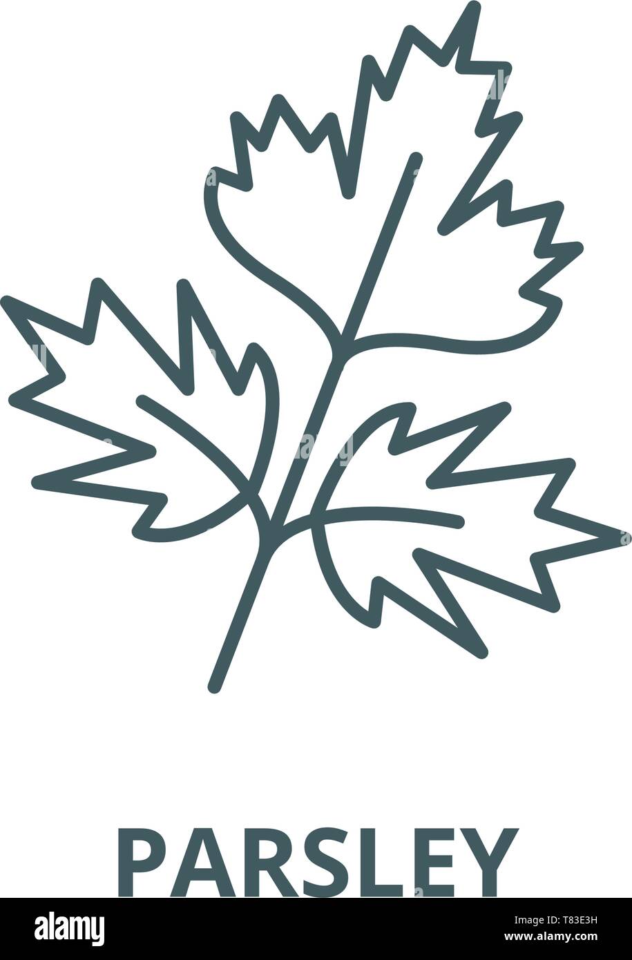 Parsley vector line icon, linear concept, outline sign, symbol Stock ...
