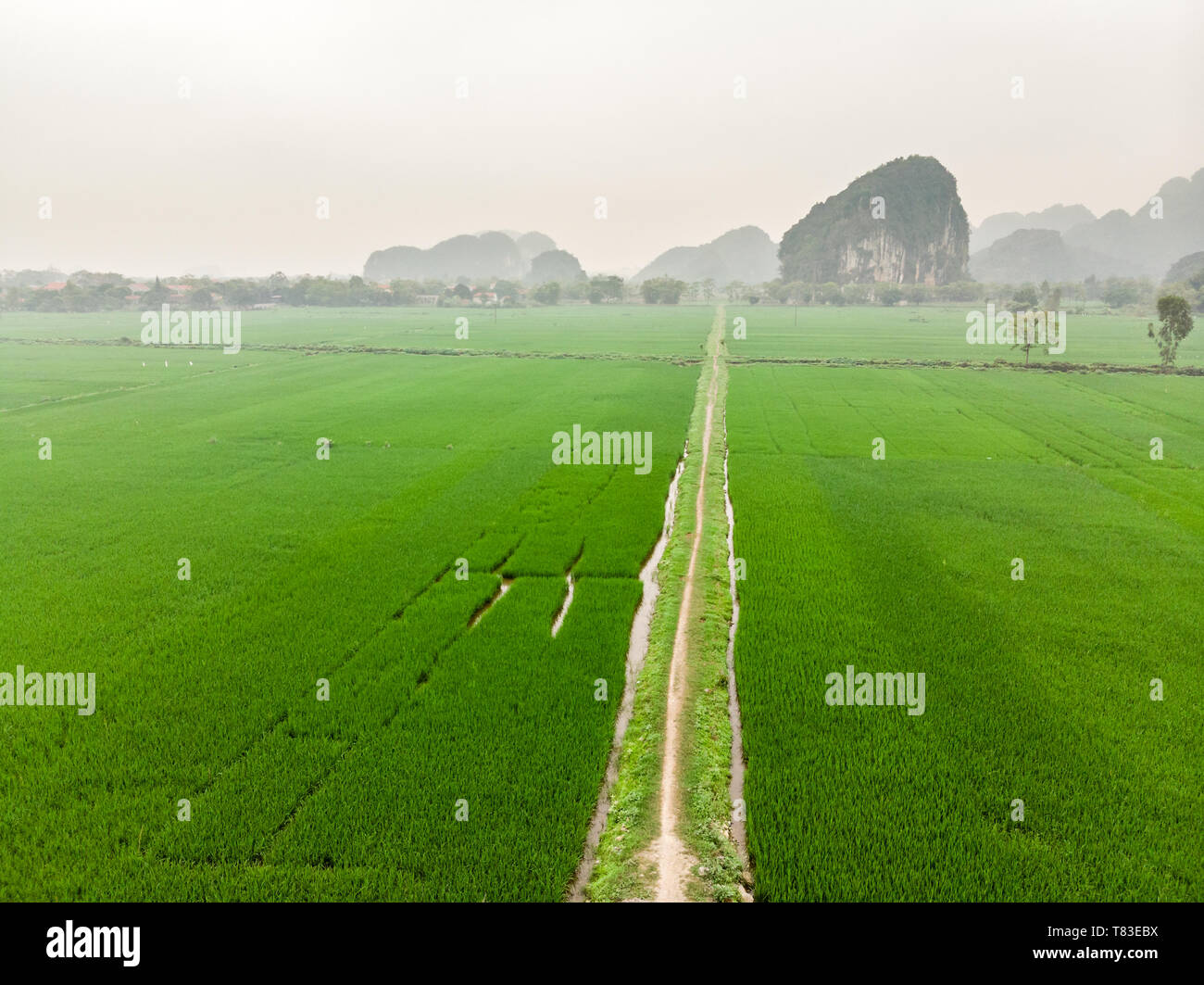 Vietnamese rice fields hi-res stock photography and images - Alamy
