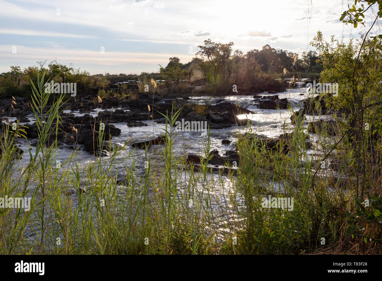 Reed falls hi-res stock photography and images - Alamy