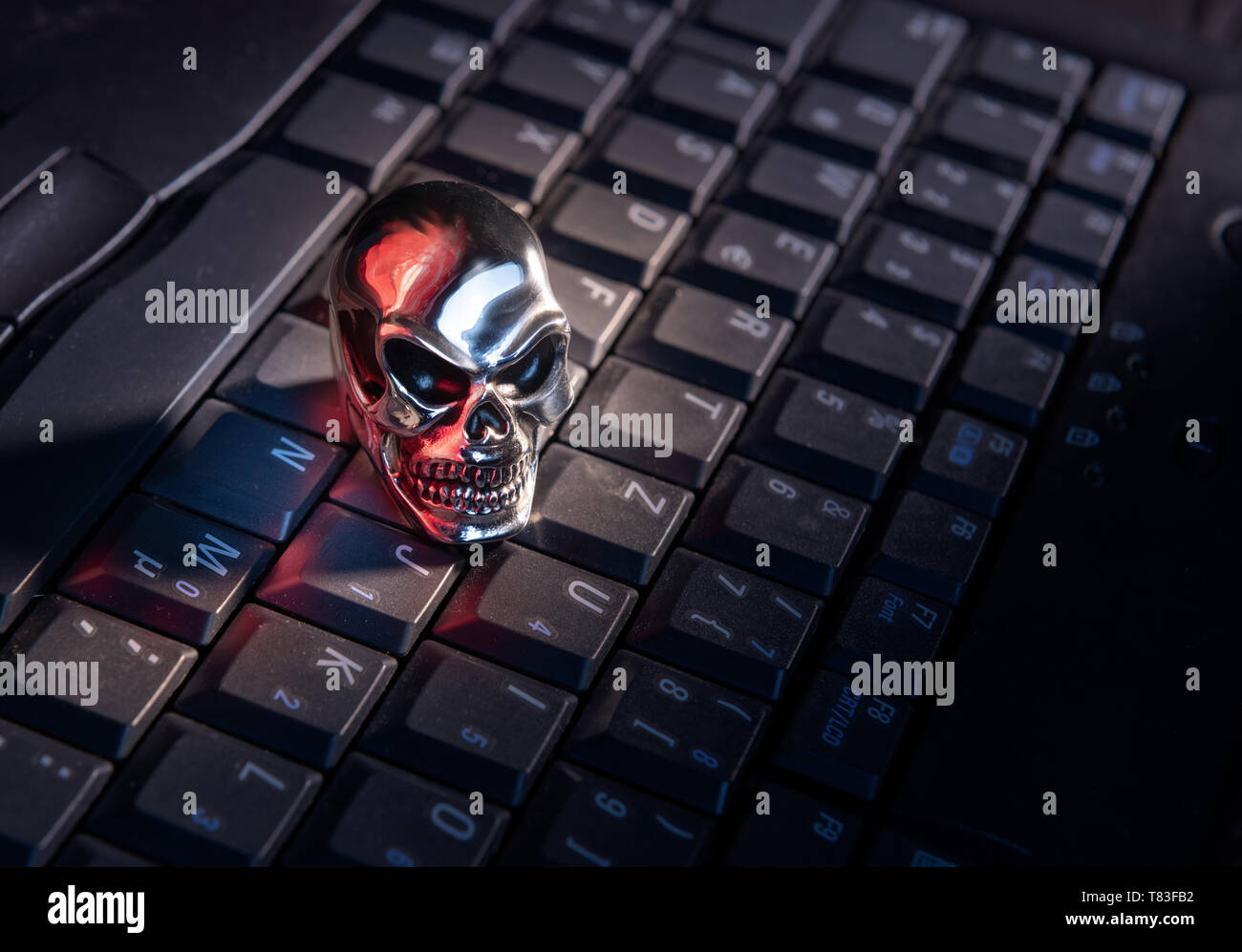 A skull made of shiny metal lies on a keyboard of a computer with ...