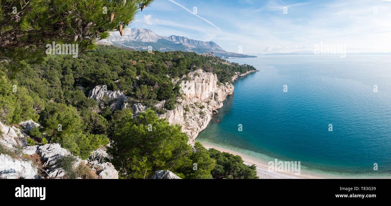 Beautiful scene of pine trees and calm blue sea on famous beach Nugal ...