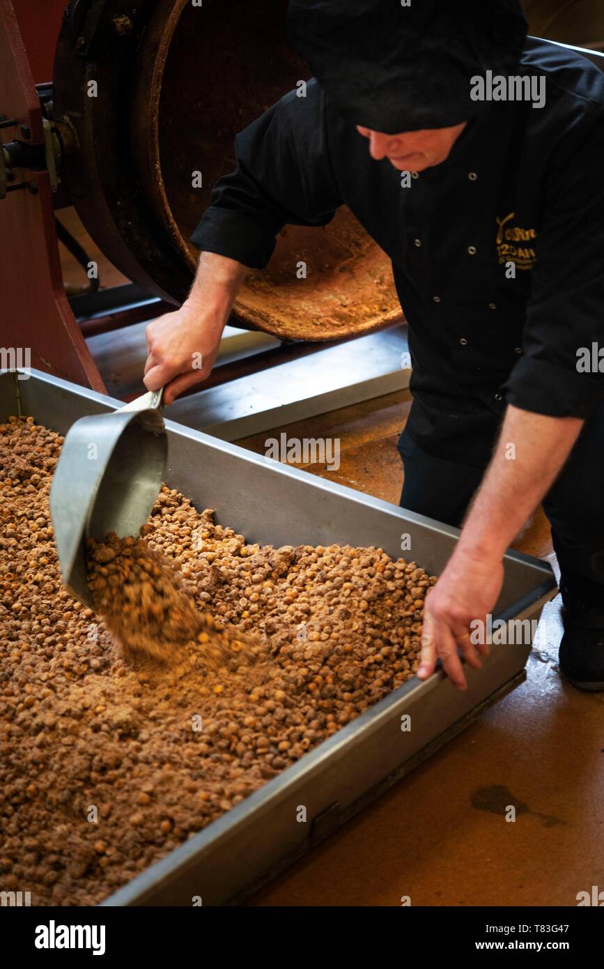 France, Rhone, Lyon, chocolate factory Voisin, praline production Stock ...