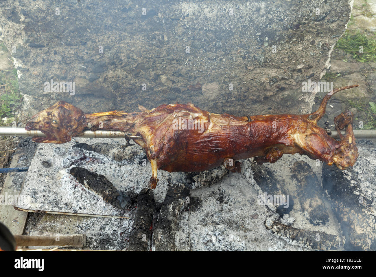 lamb roasting on a spit, close up Stock Photo - Alamy