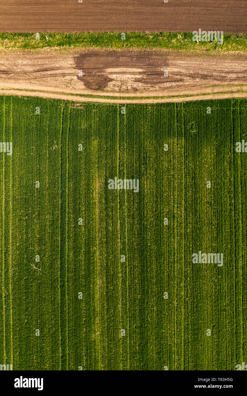 Aerial view of dirt road through countryside and agricultural field ...