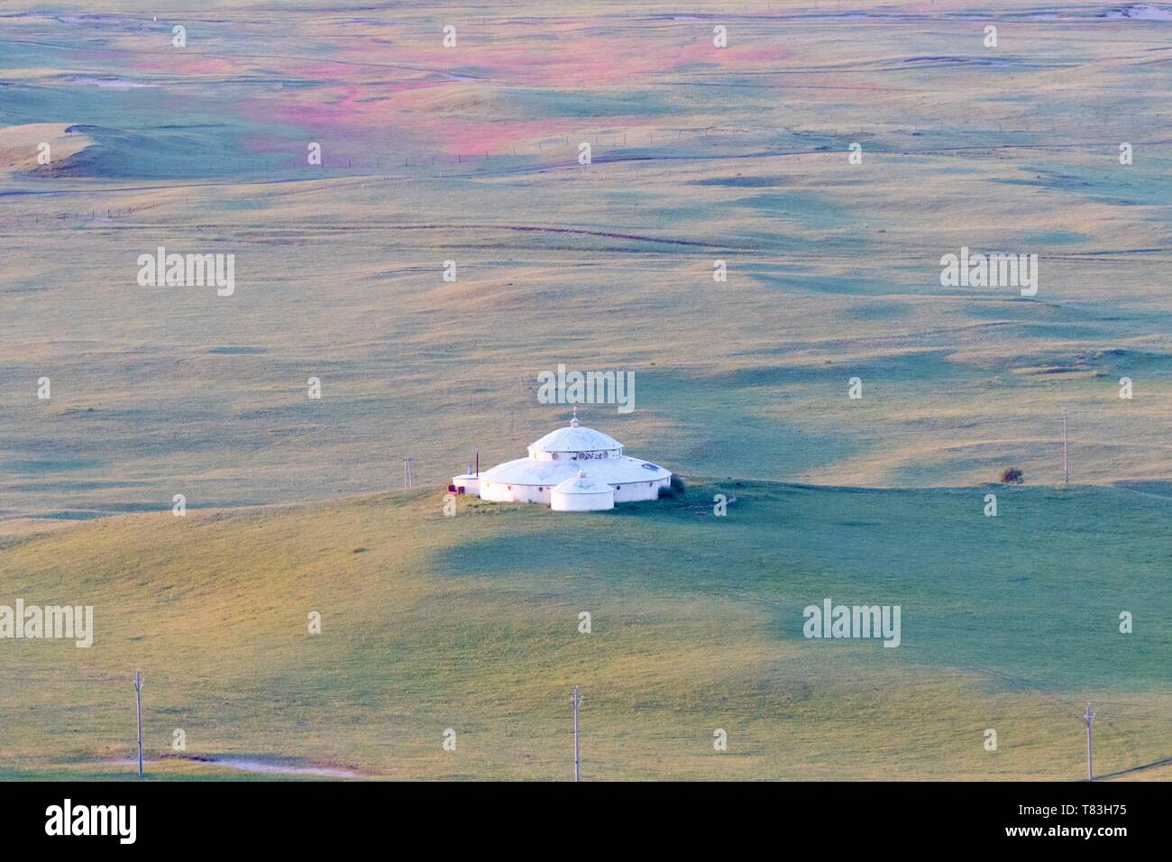 China, Inner Mongolia, Hebei Province, Zhangjiakou, Bashang Grassland ...