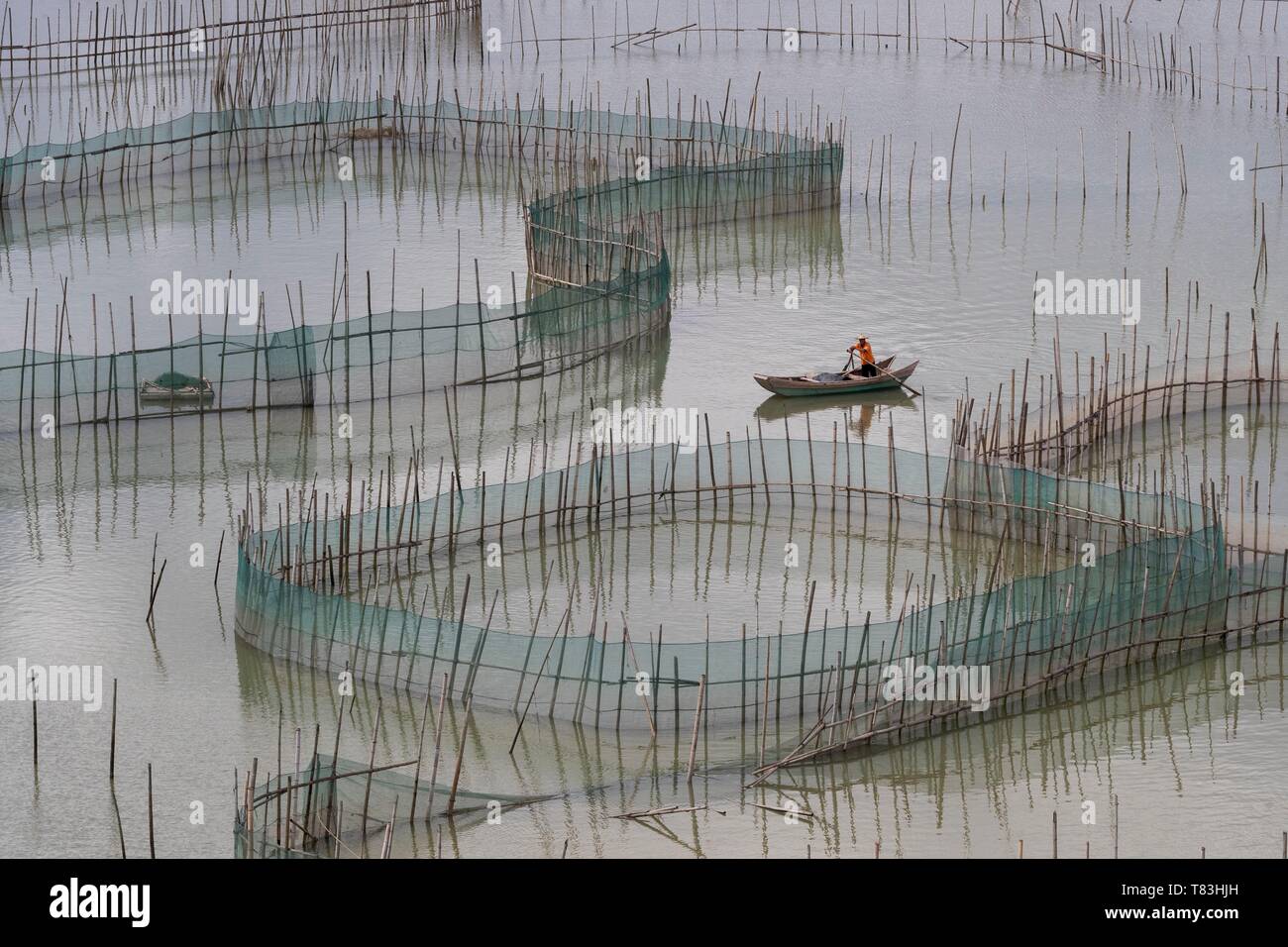 Fish farming hi-res stock photography and images - Alamy