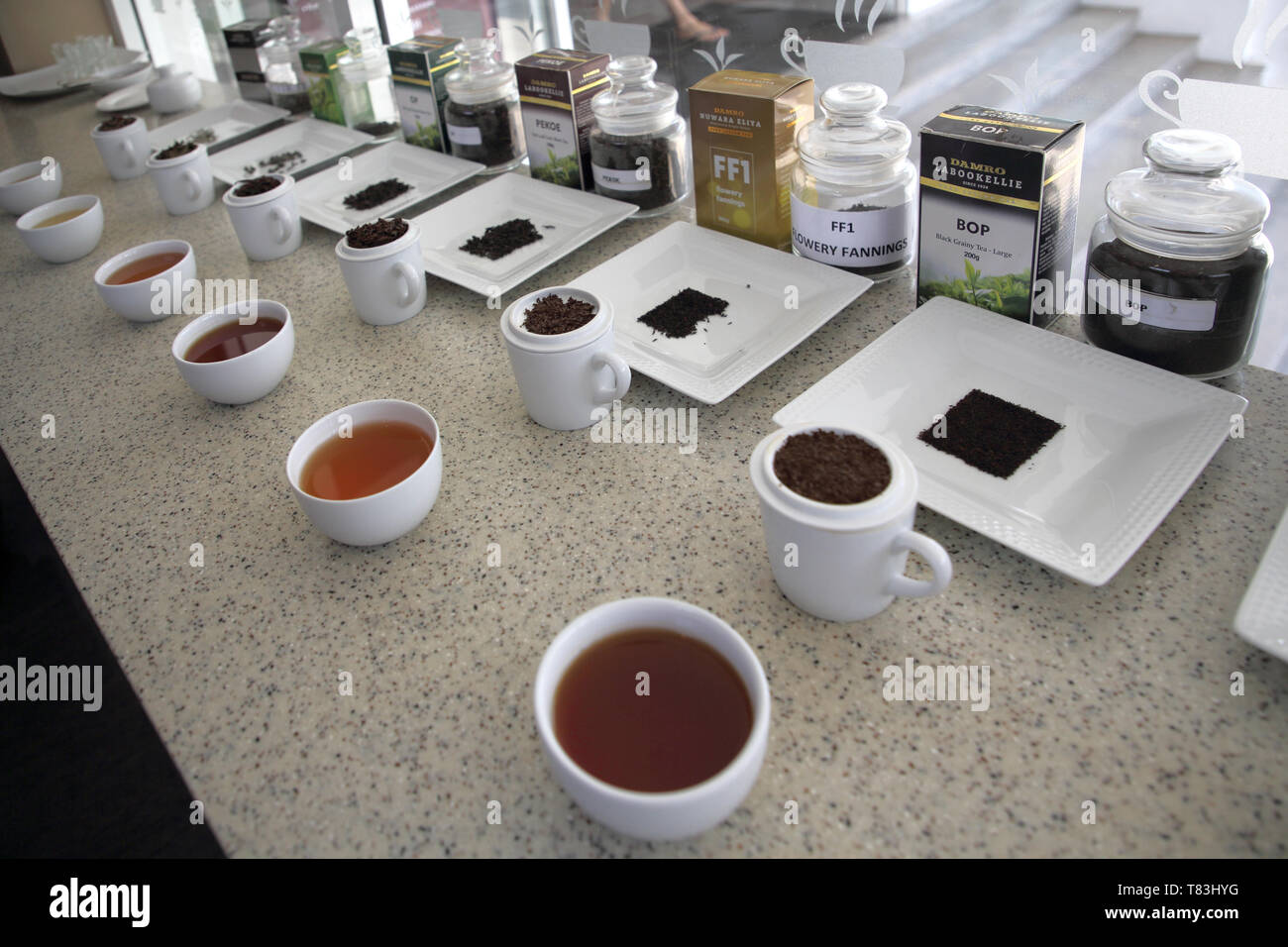 Tea tasting hi-res stock photography and images - Alamy
