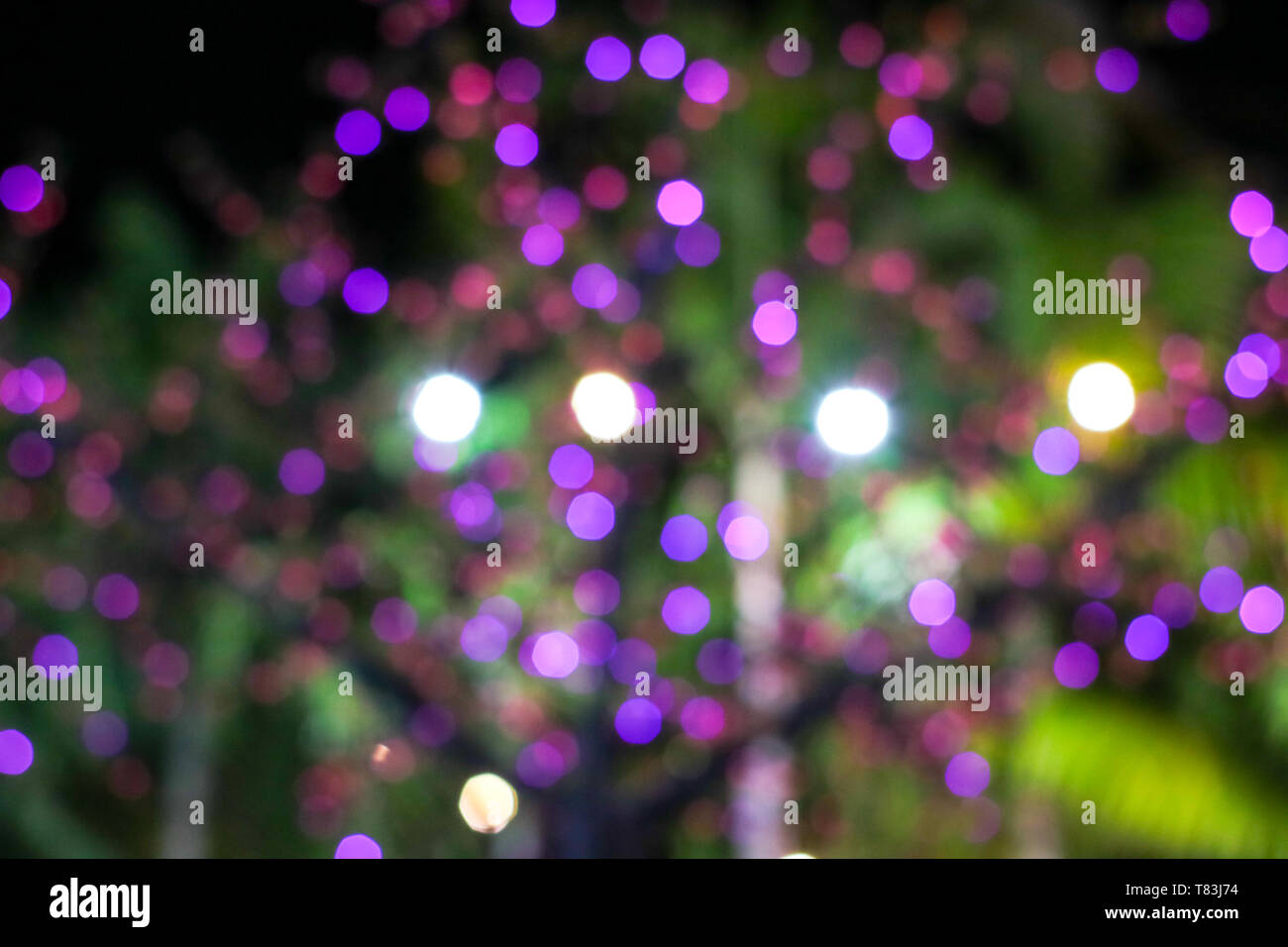 blurred colorful light on tree decorate in the night garden Stock Photo ...