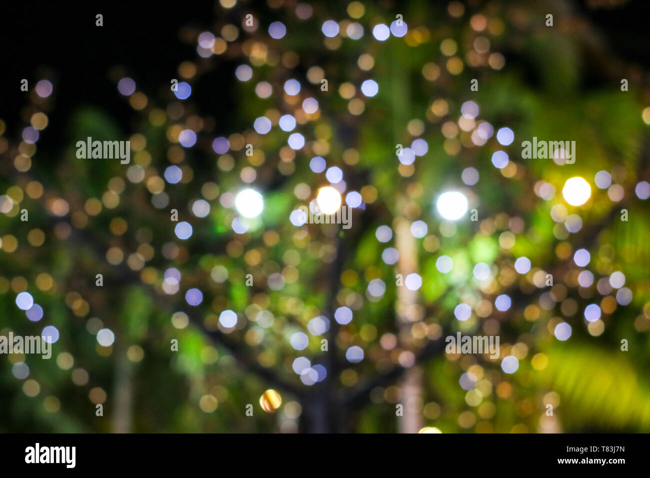 Garden bulb lights table hi-res stock photography and images - Alamy